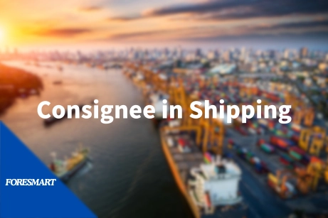The Role of Consignee | Shipping and Logistics