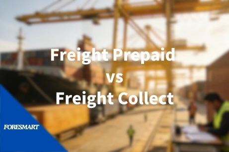 Freight Prepaid vs Freight Collect - Everything You Must Know